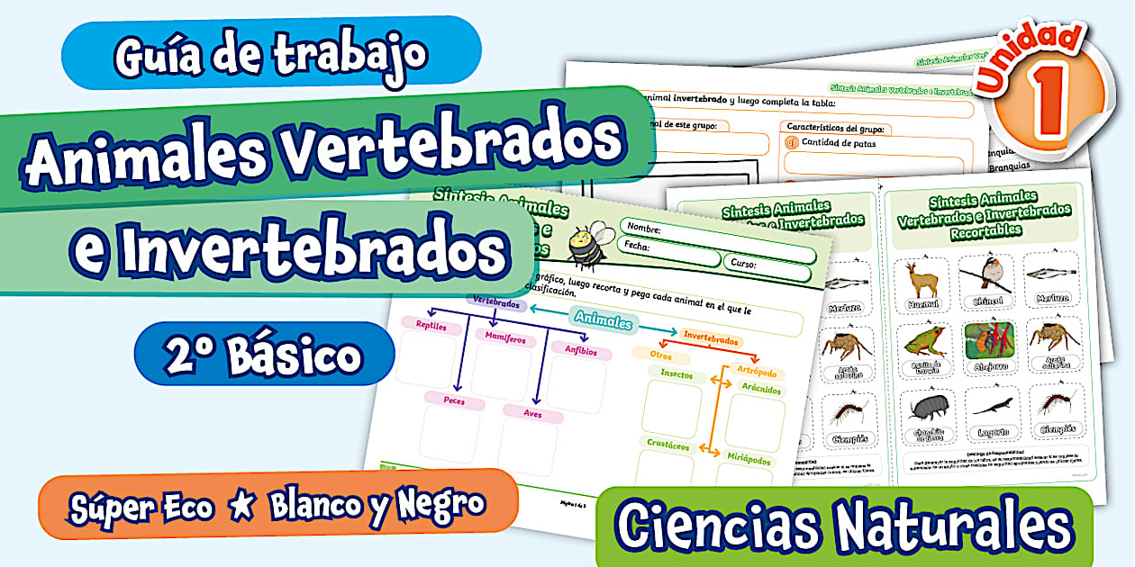 Guía de Trabajo | Animales Vertebrados e Invertebrados | 2°