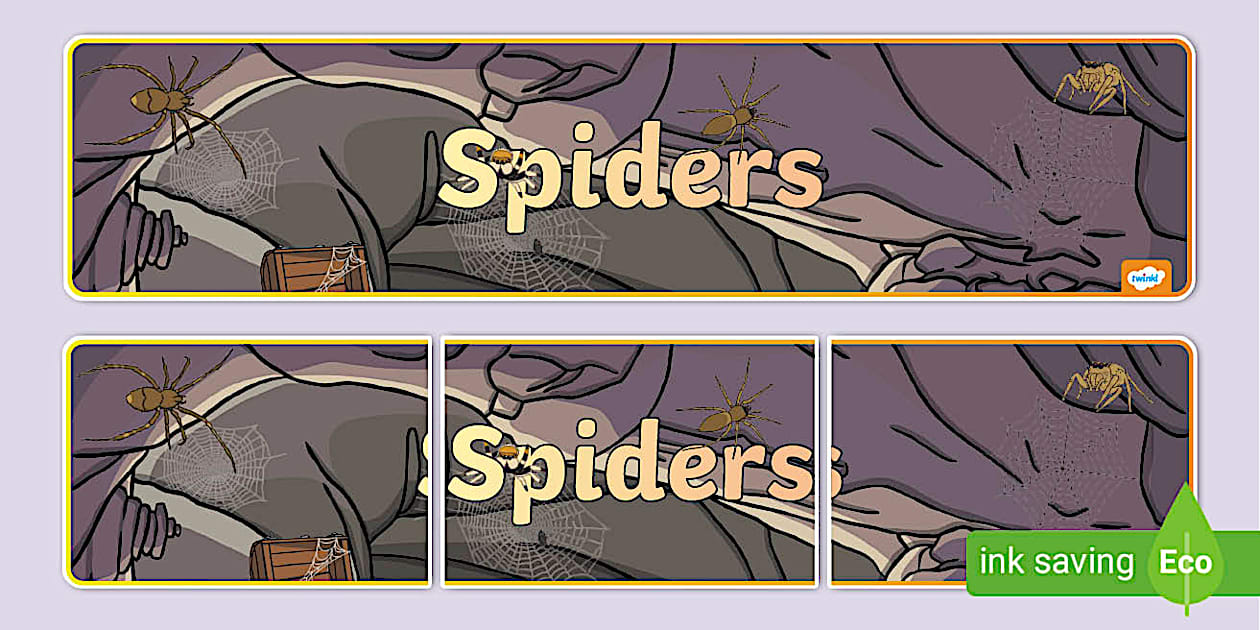 Spiders Display Banner, Spider (Teacher-Made) - Twinkl