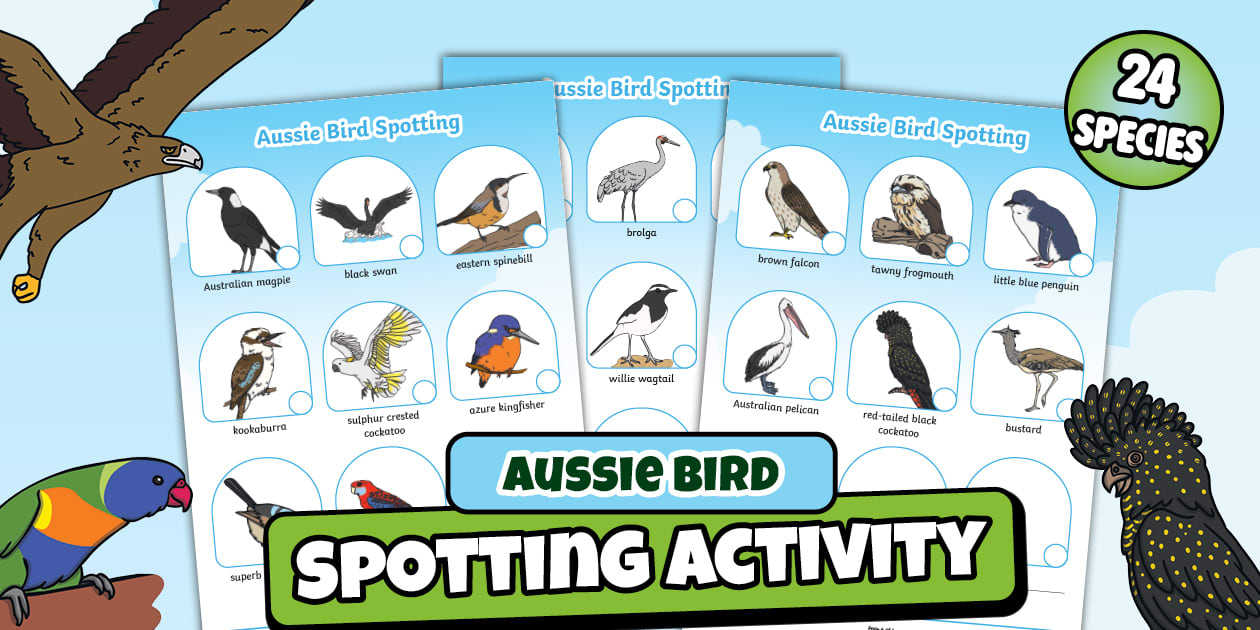 Aussie Bird Spotting Activity