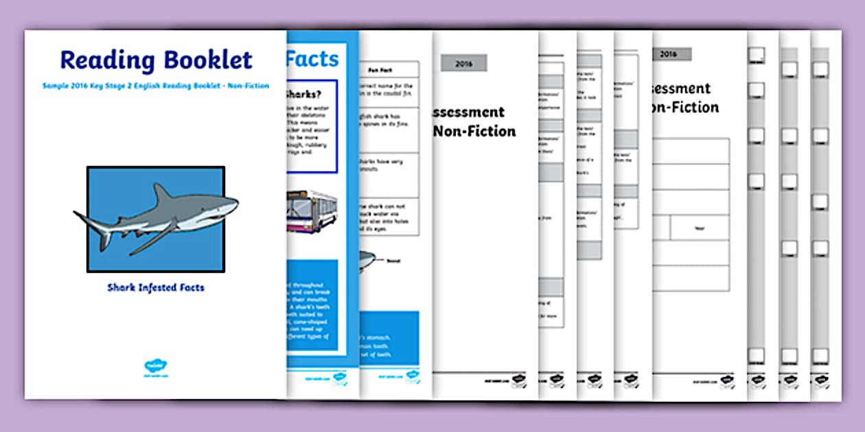 Year 3 Term 1 Non-Fiction Reading Assessment (teacher made)