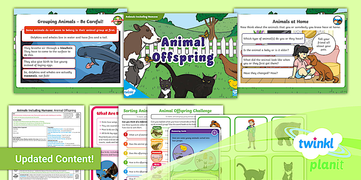 Animals And Their Offspring | Year 2 Science Lesson Pack