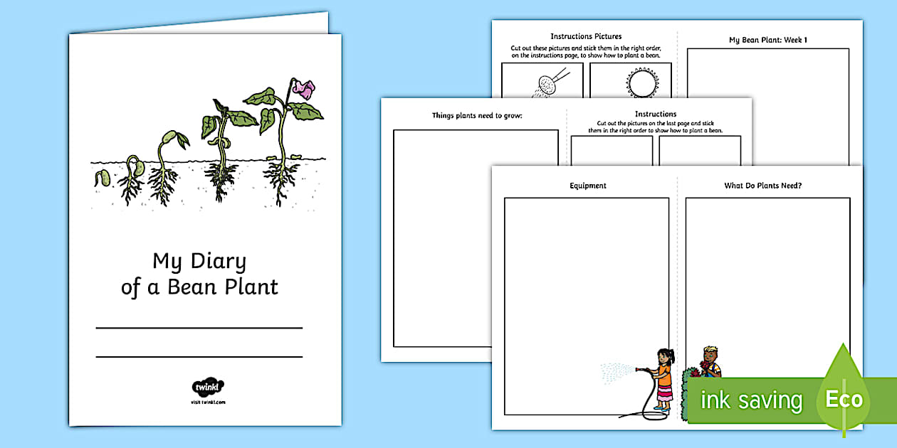 Plant Journal Template | Resource | Twinkl USA - Twinkl