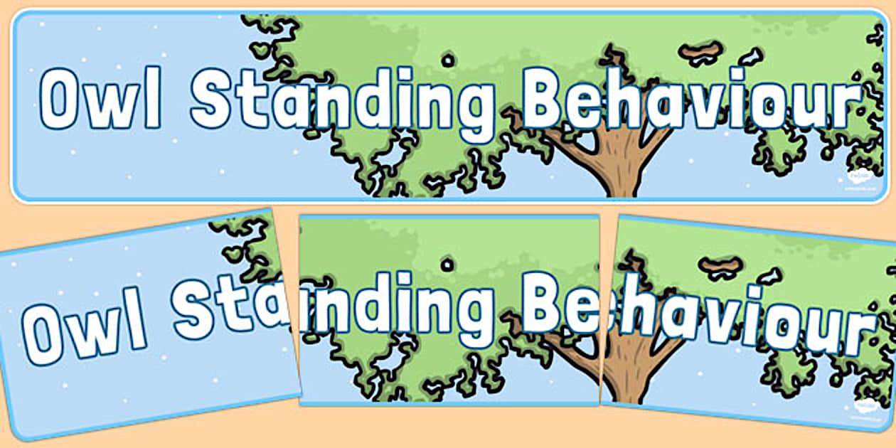 Cursive Owl standing Behaviour Display Banner - Twinkl