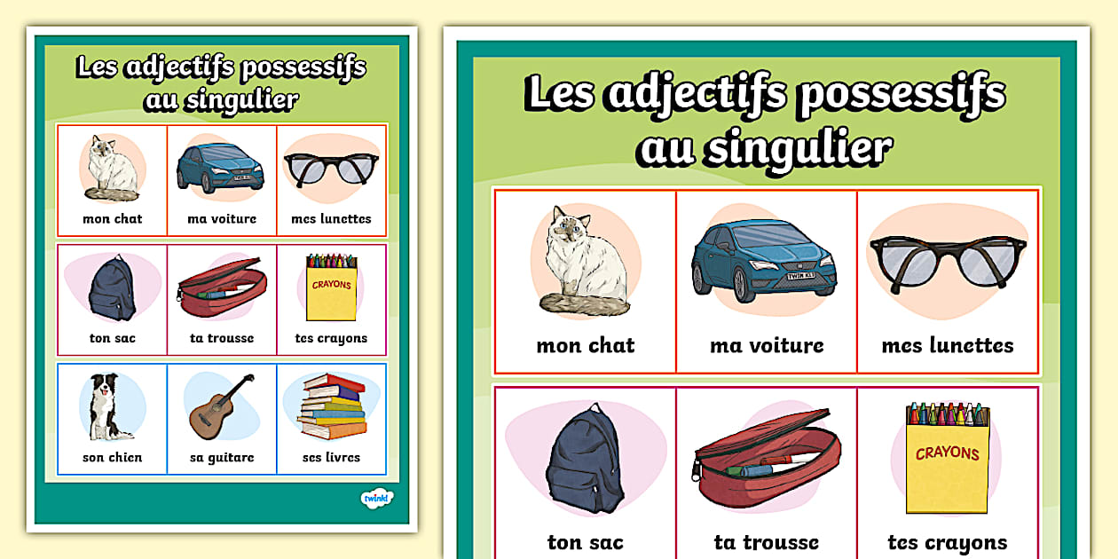 Affiches : Les adjectifs possessifs au singulier - Twinkl