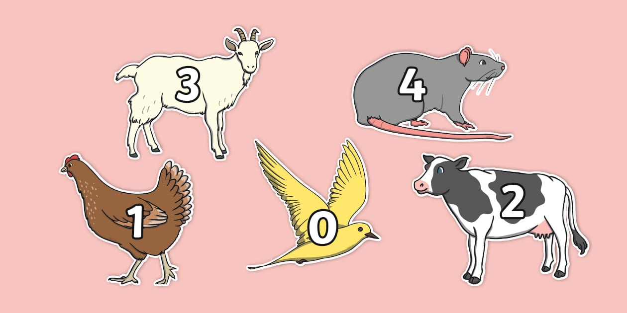 Numbers 0-20 on Animals (Teacher-Made) - Twinkl