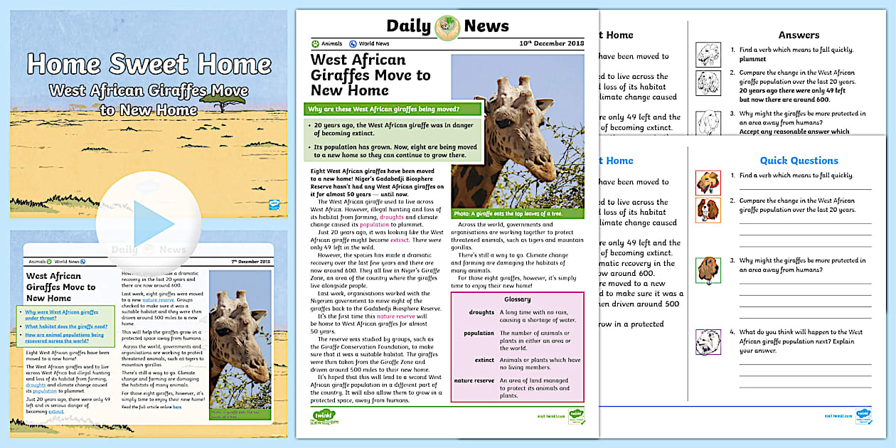 UKS2 Saving Giraffes Daily News Resource Pack (teacher made)