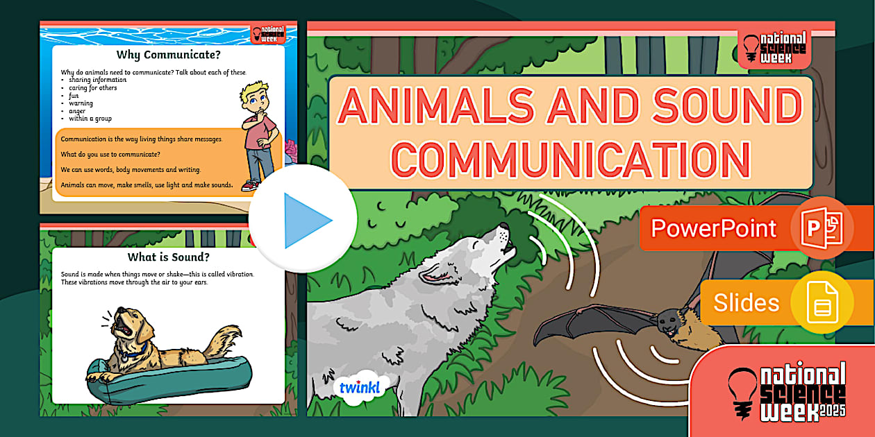 Animals and Sound Communication PowerPoint (teacher made)
