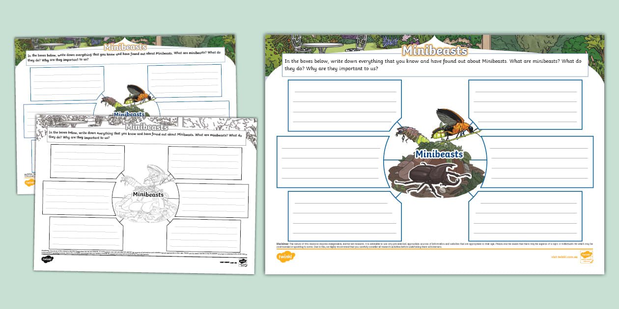 All About Minibeasts Mind Map - Twinkl Mind Maps - Twinkl