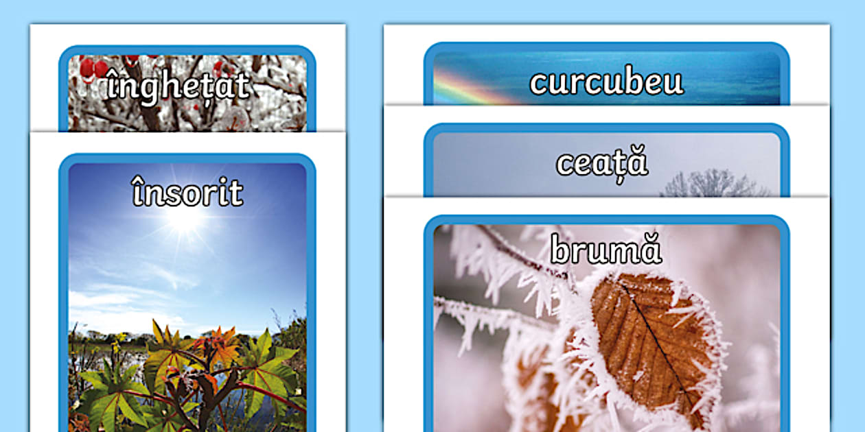 Poze cu fenomene ale naturii | 13 planșe cu fotografii