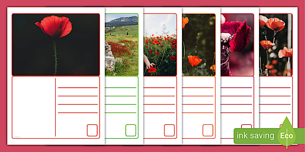 Beautiful Poppy Postcards | Twinkl | KS2 | English Writing