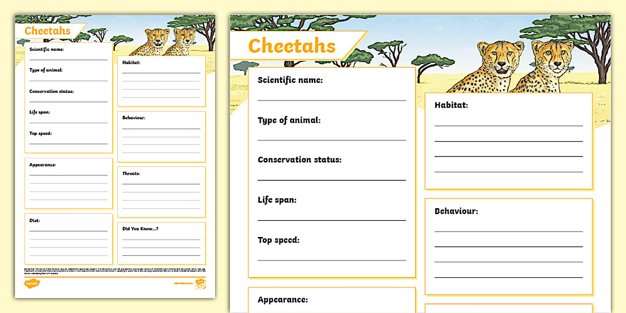KS2 Cheetah Fact File Template (Teacher-Made) - Twinkl