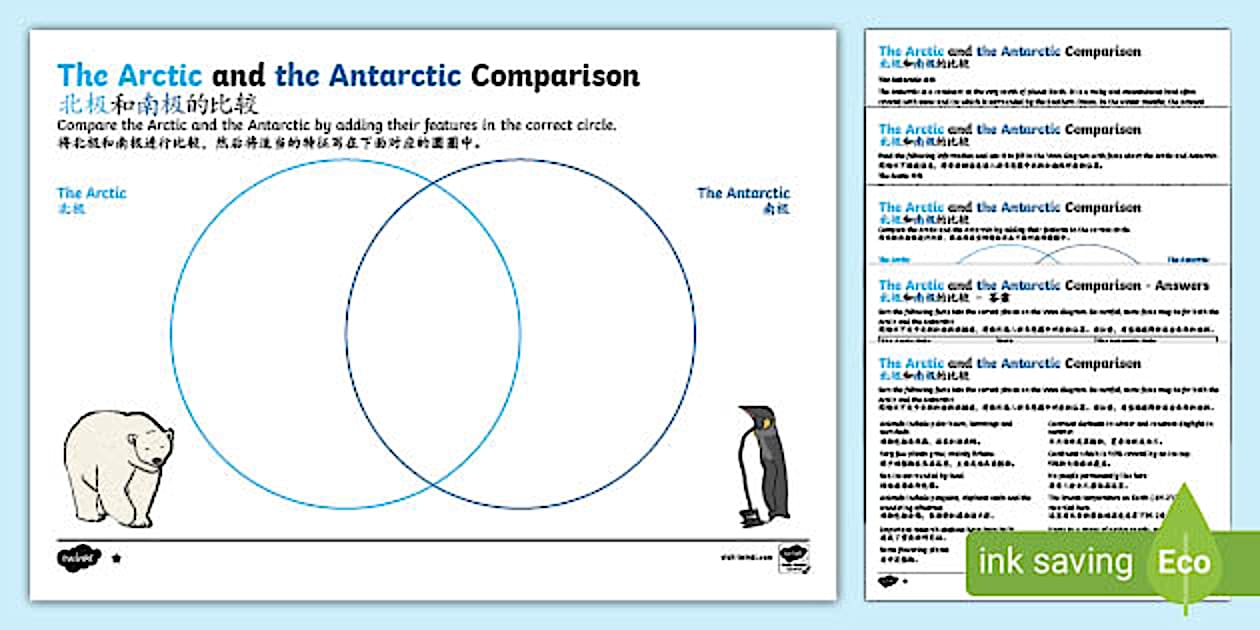Arctic and Antarctic Comparison Activity - English/Mandarin Chinese