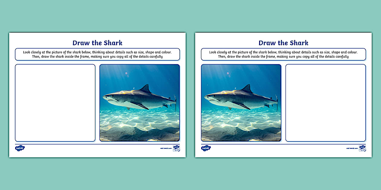 Draw the Shark Worksheet (teacher made) - Twinkl