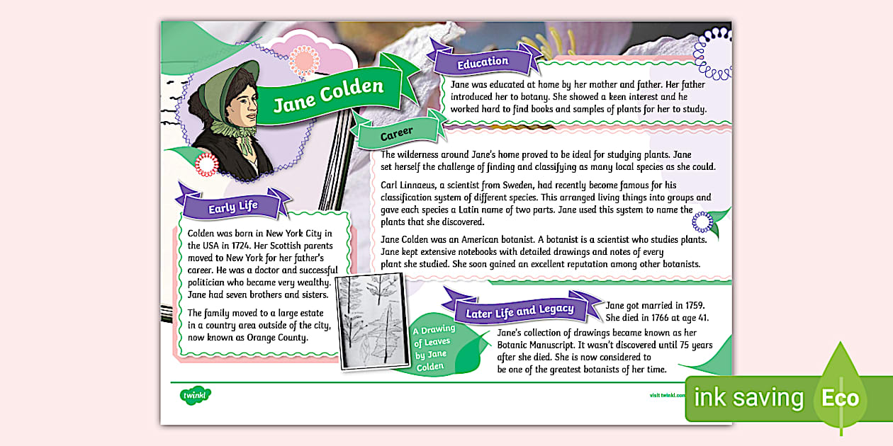 KS2 Jane Colden Fact File - Science - Botany (Teacher-Made)