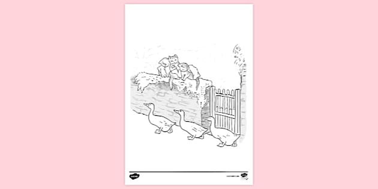 The Three Puddle Ducks Walk by the Wall Colouring Sheet