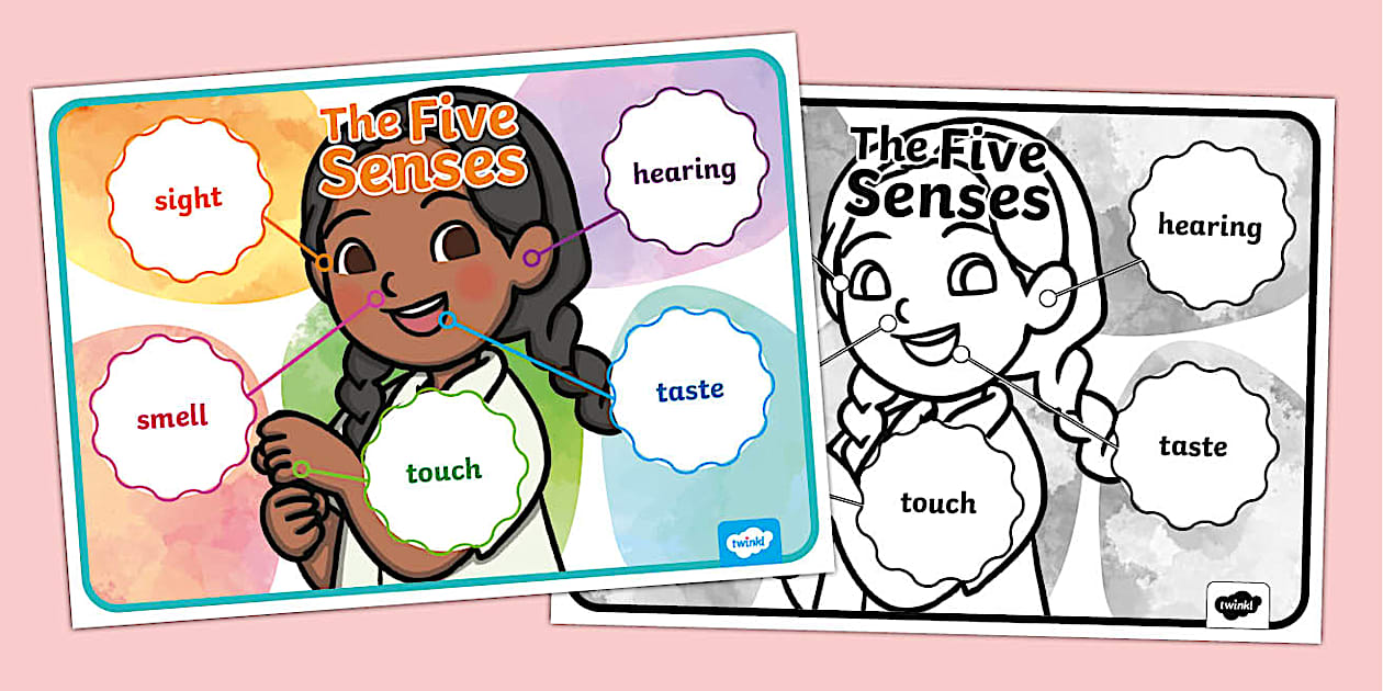 The Five Senses Face Display Poster (teacher made) - Twinkl