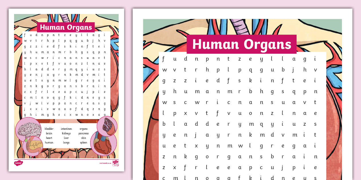 Human Organs Word Search - Twinkl Science - Twinkl