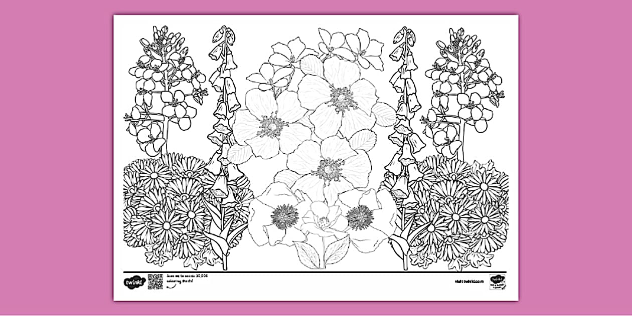 Flower Colouring Page | Colouring Sheets - Twinkl