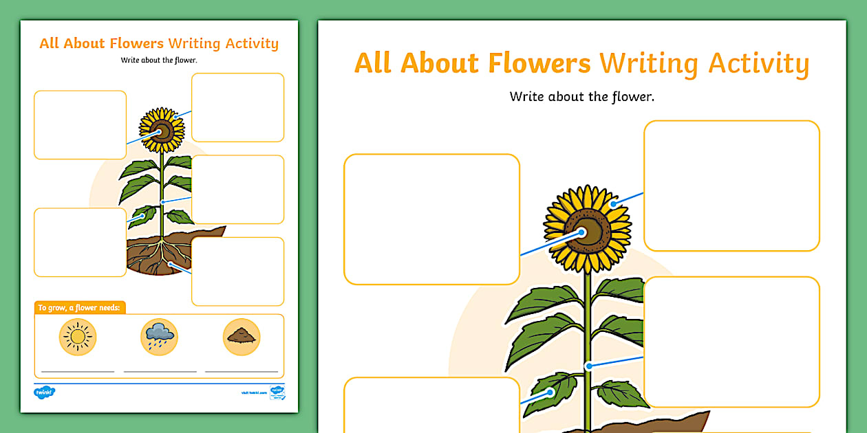 All About Flowers Writing Activity | Twinkl | EYFS | Plants