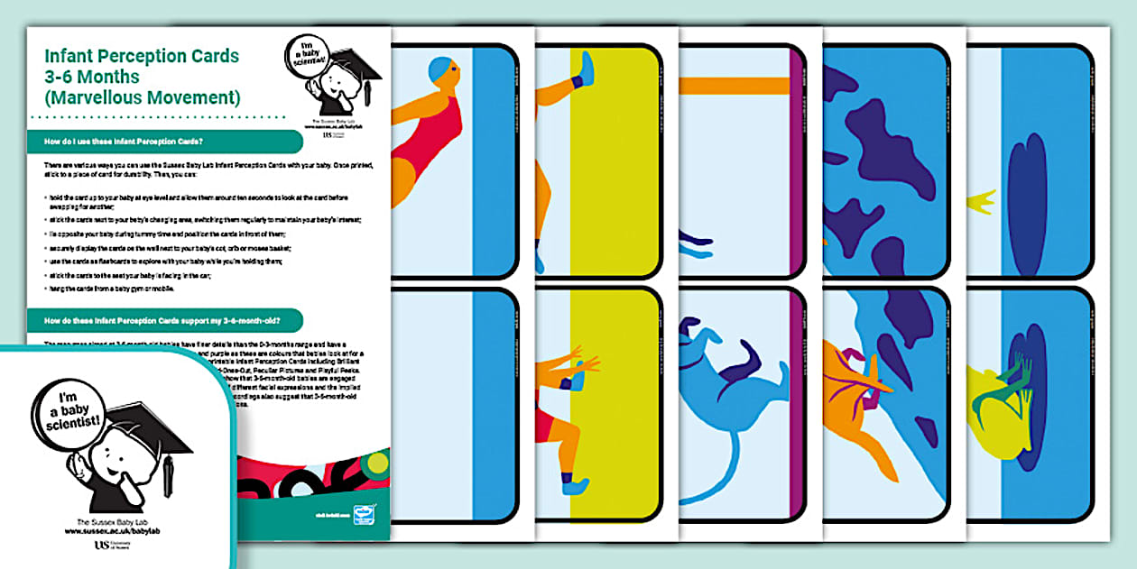 FREE! - Movement-Themed Infant Perception Cards - 3-6 Months