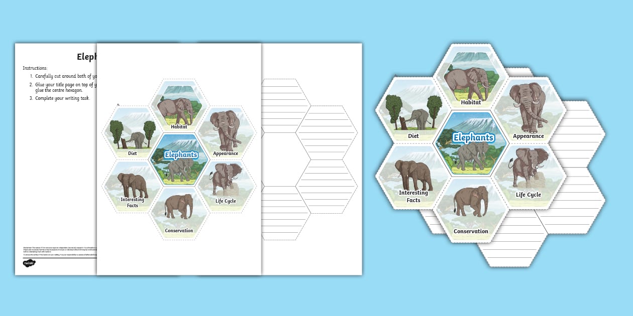 Elephant Hexagon Writing Template (teacher made) - Twinkl