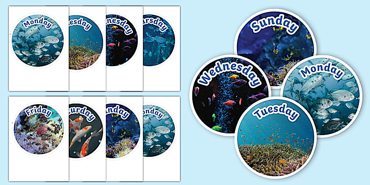 Fish Themed Days of the Week Display Circle Photo Cut Outs