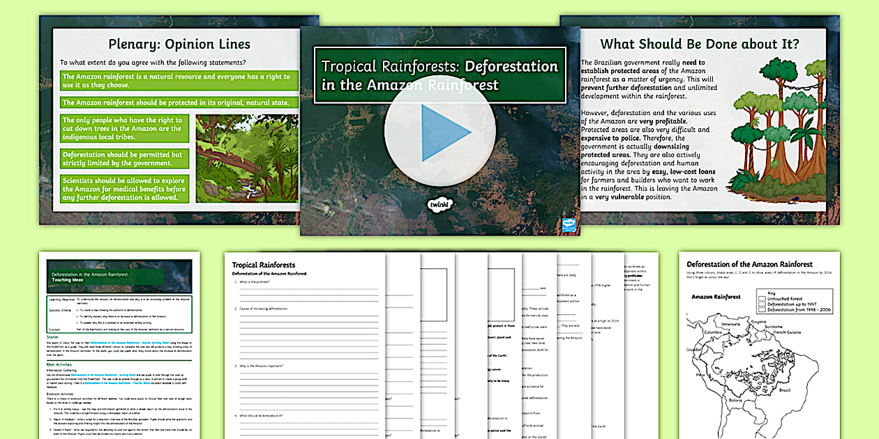 Editable Extreme Environments: Deforestation in the Amazon Rainforest ...