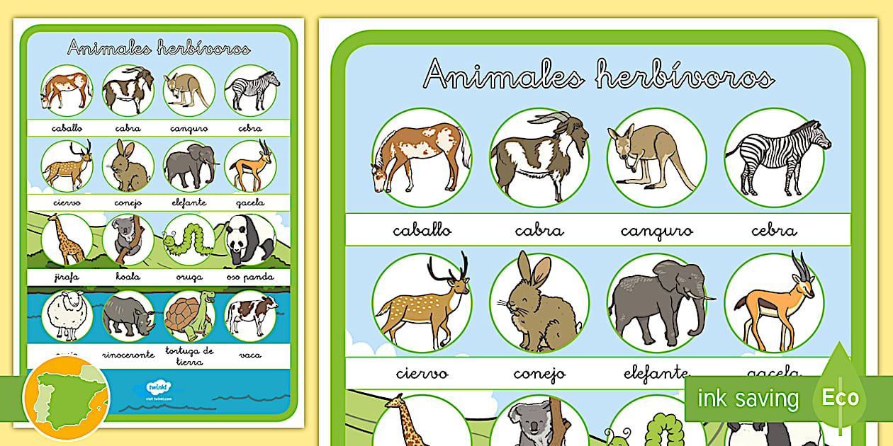 Póster: Animales herbívoros (teacher made) - Twinkl