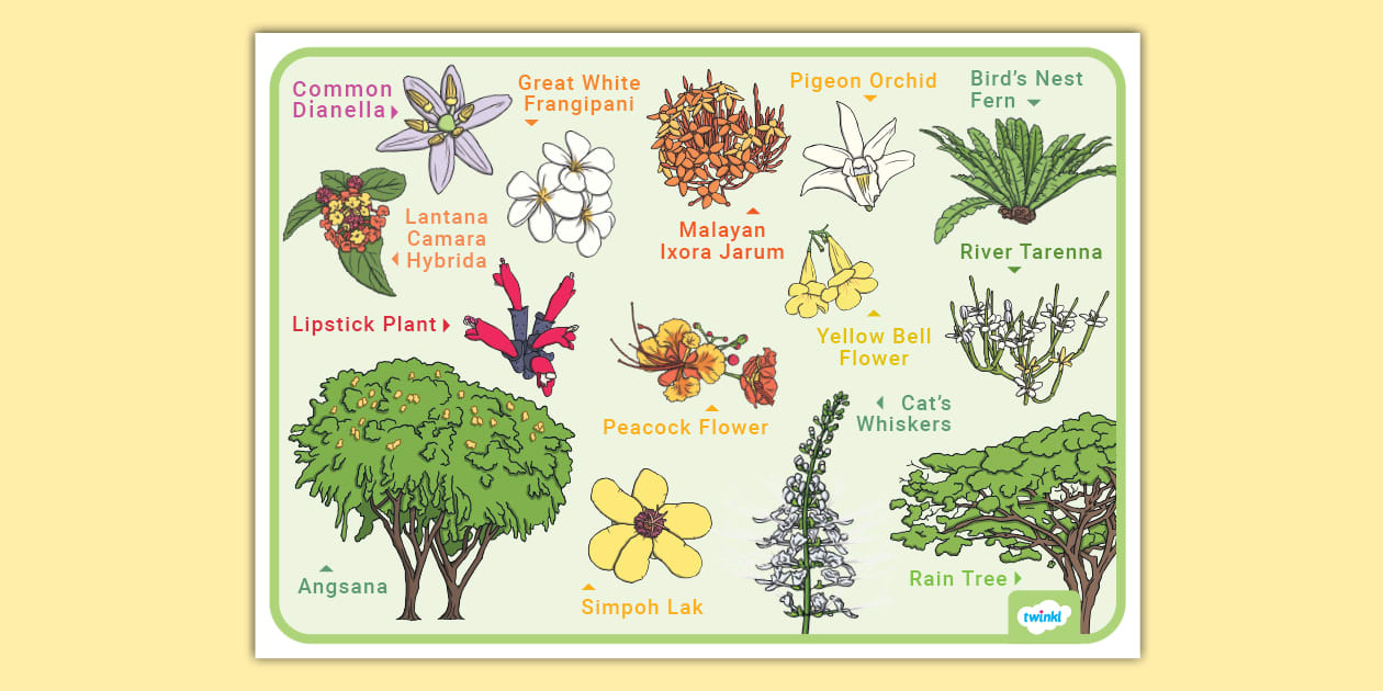 Singapore Outdoor Learning Poster (Teacher-Made) - Twinkl