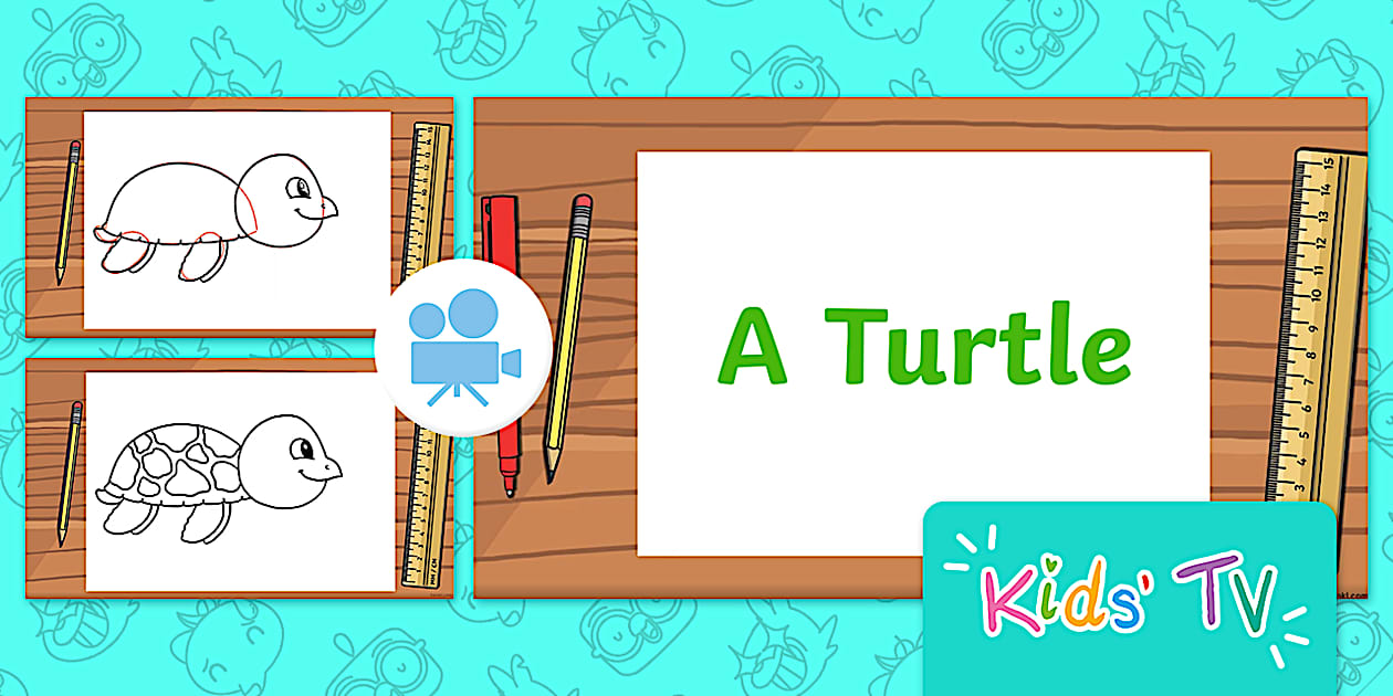 How to Draw a Turtle | Twinkl Kid's TV (teacher made)
