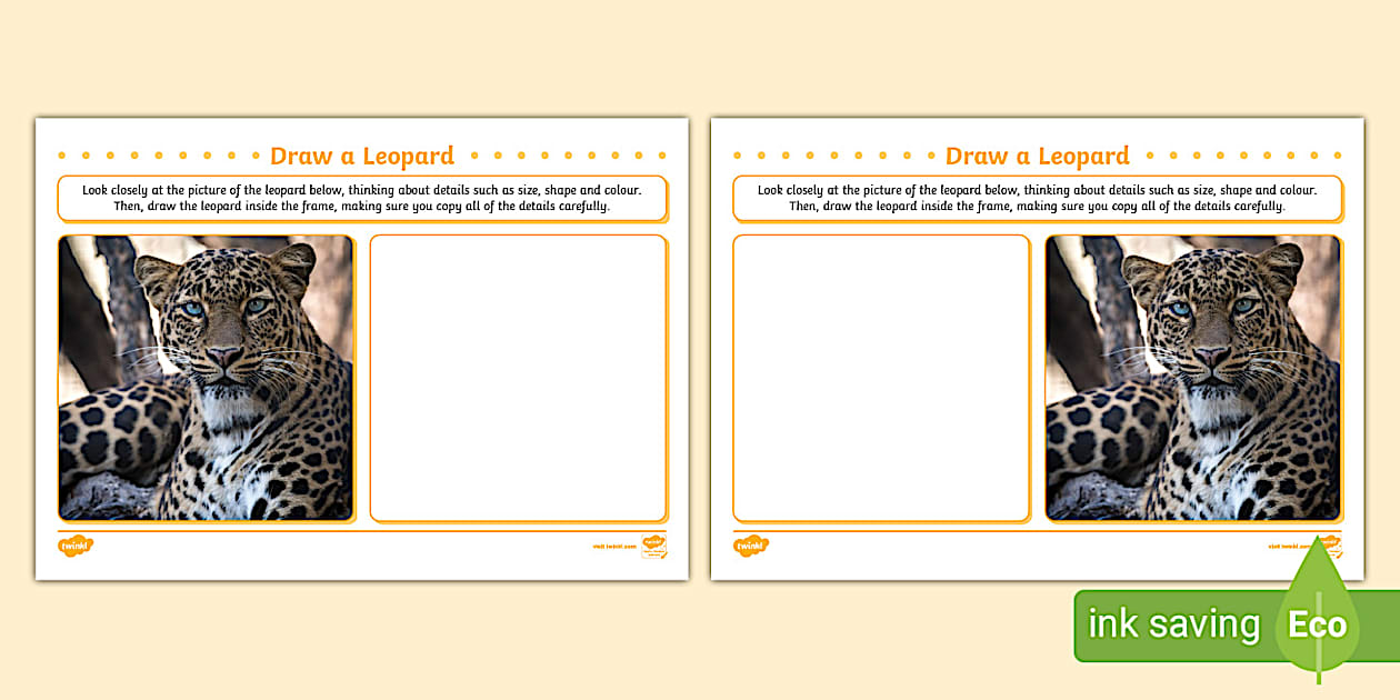 Draw a Leopard Art Activity,leopard - Twinkl