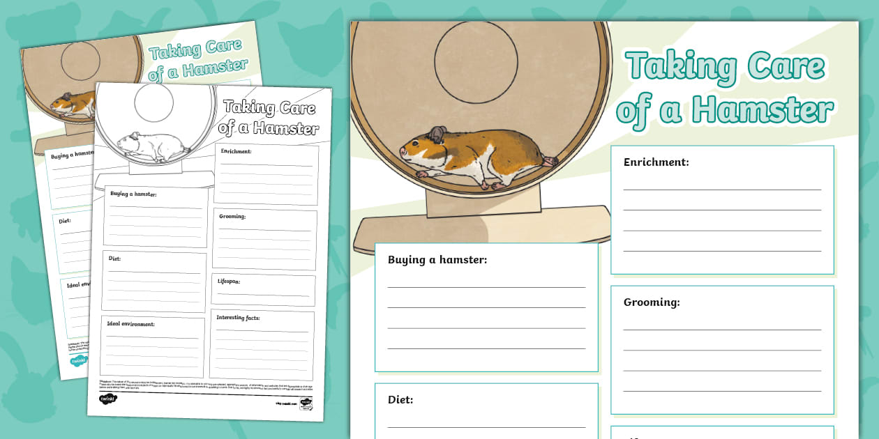 Taking Care of a Hamster Fact File Template (teacher made)