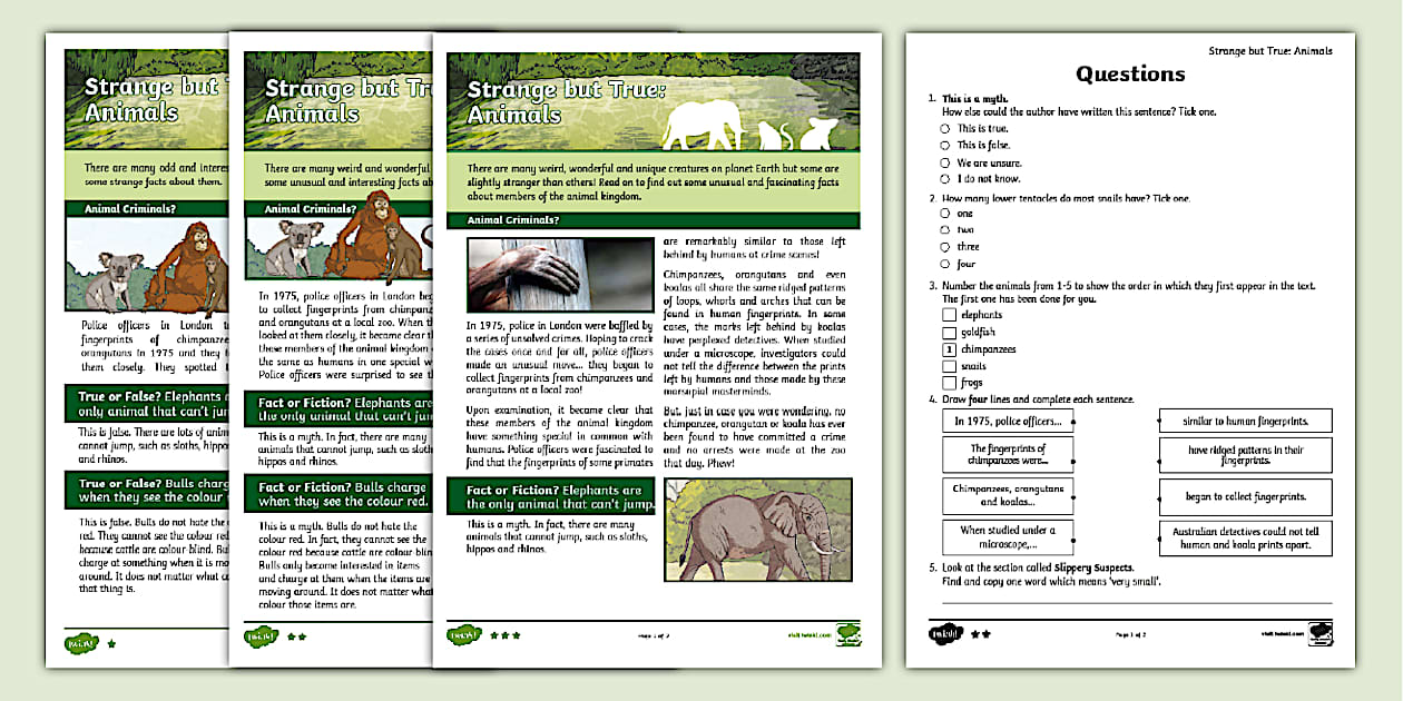 LKS2 Strange but True: Animals Differentiated Reading Comprehension ...