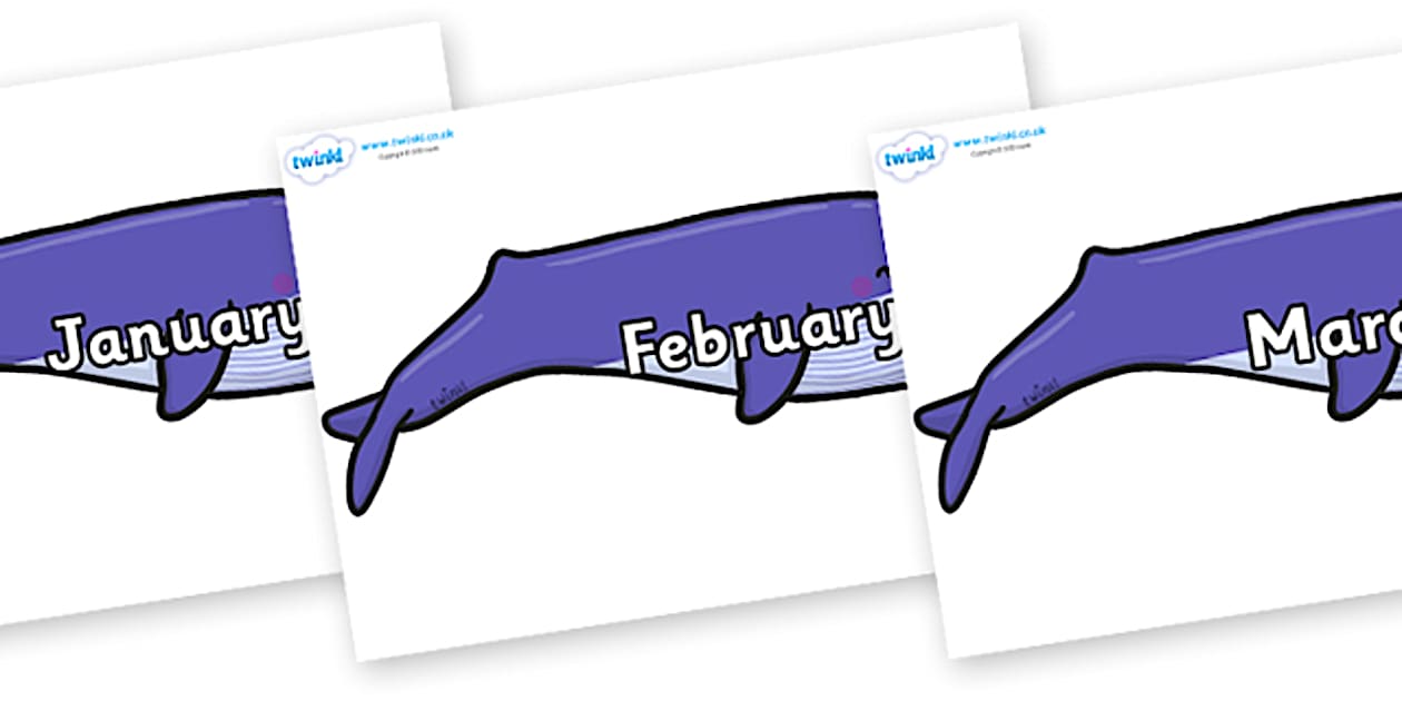 Months of the Year on Whales (Teacher-Made) - Twinkl