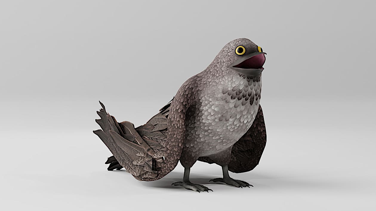 3D Model: Birds - Potoo (phát triển bởi giáo viên)