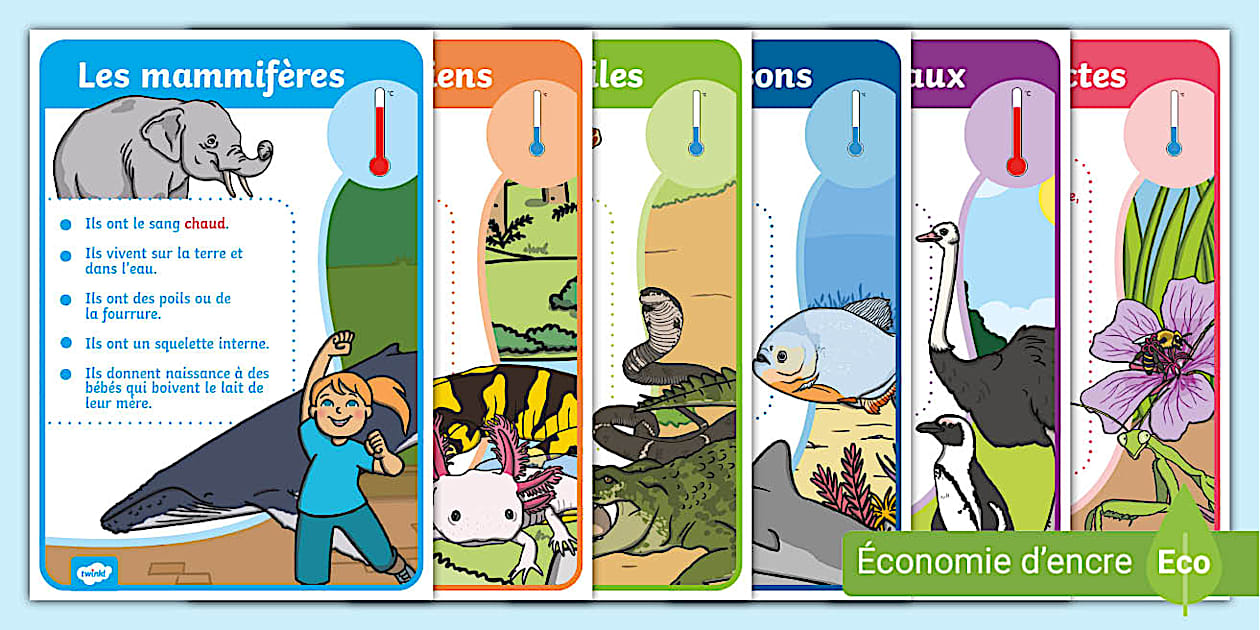 Posters : La classification des animaux - Twinkl