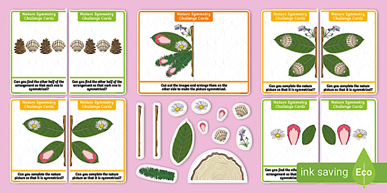 Editable Nature Symmetry Challenge Cards (teacher made)