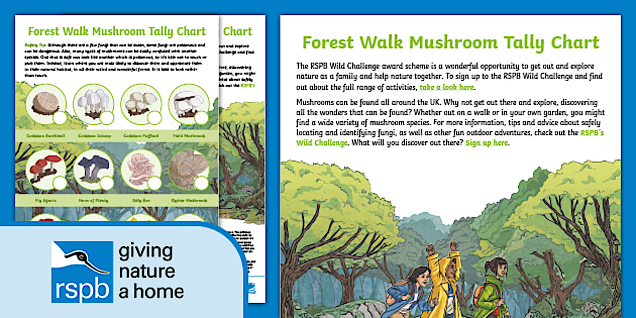 Forest Walk Mushroom Tally Chart (Ages 5 - 11)