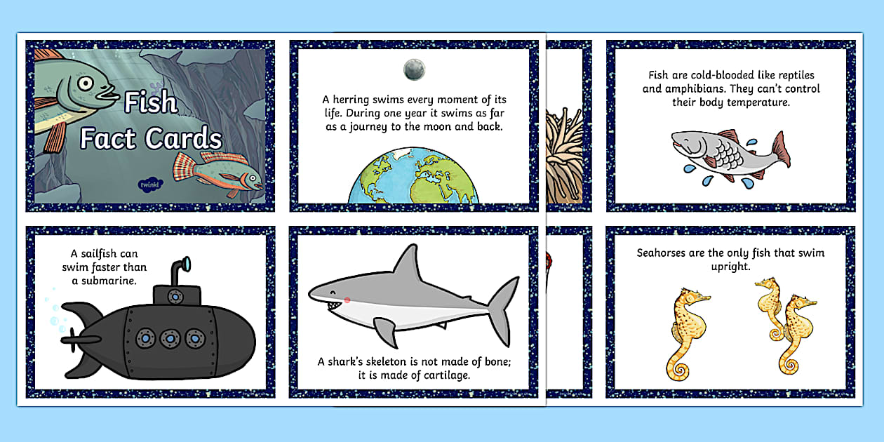 Editable Fish Fact Cards (l'enseignant a fait) - Twinkl