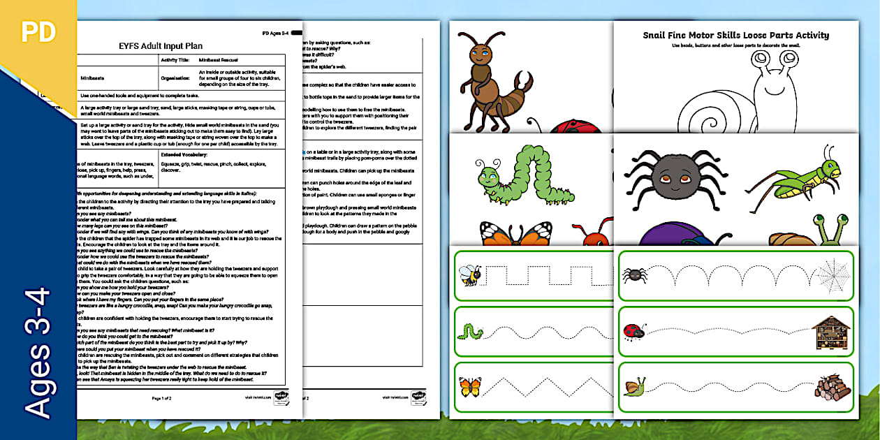 EYFS Minibeast Rescue Adult Input Plan and Pack (Ages 3-4)