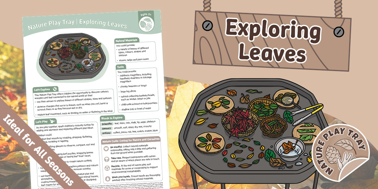 Nature Play Tray: Leaves | Outdoor Learning | Twinkl