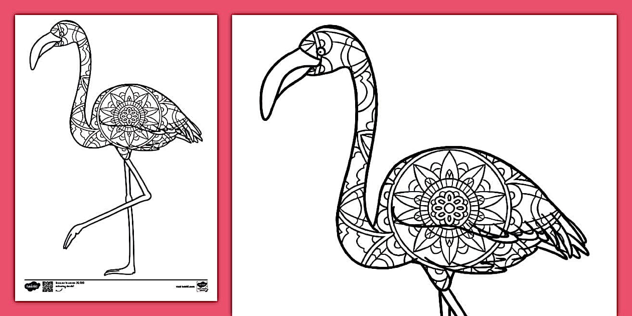Flamingo Mandala Colouring Page (Teacher-Made) - Twinkl