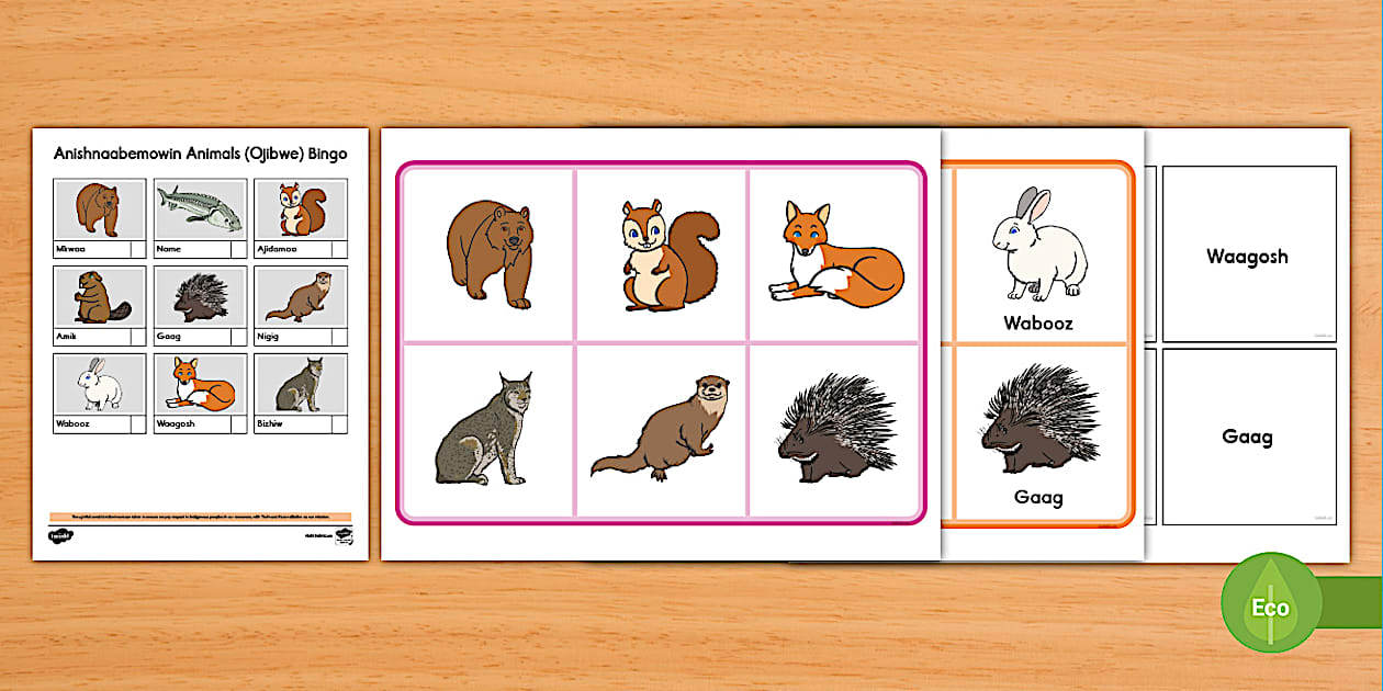 Phonics Canada Group 6 y,x,ch,sh,softhard th Assessment Form