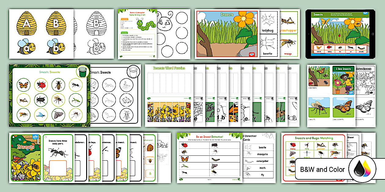 Early Childhood Insects Literacy Activity Pack - Twinkl