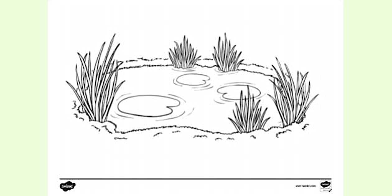 Pond Colouring Sheet (Teacher-Made) - Twinkl