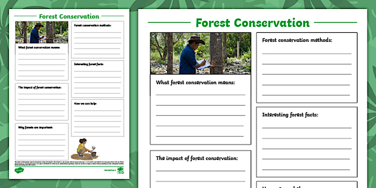 * NEW * Forest Conservation Fact File Template - Twinkl