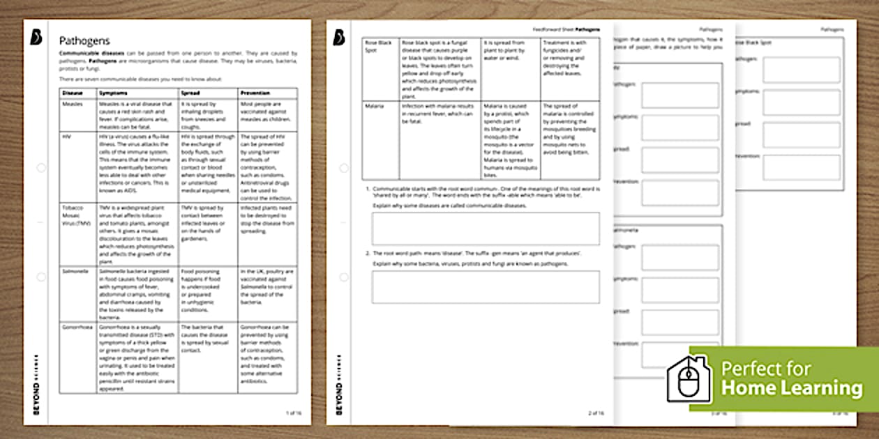GCSE Infection and Response Worksheets | Beyond - Twinkl