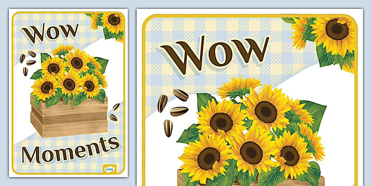 Sunflower-Themed Wow Moments Display Poster - Twinkl