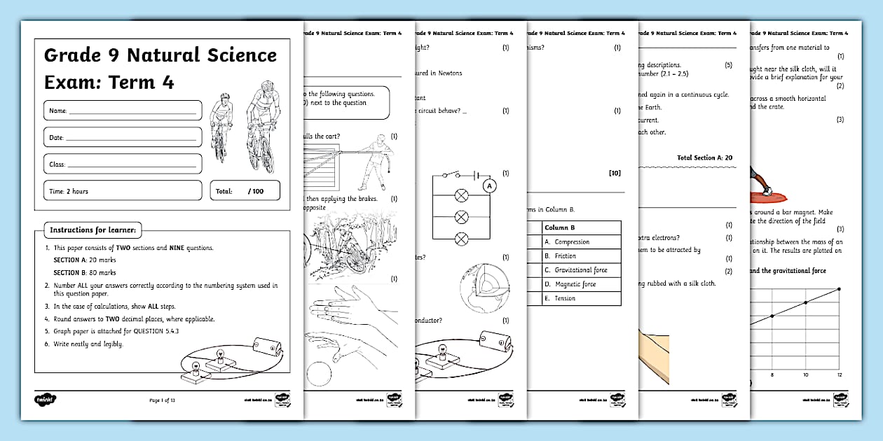 Grade 9 Natural Science Year-end Exam - Twinkl