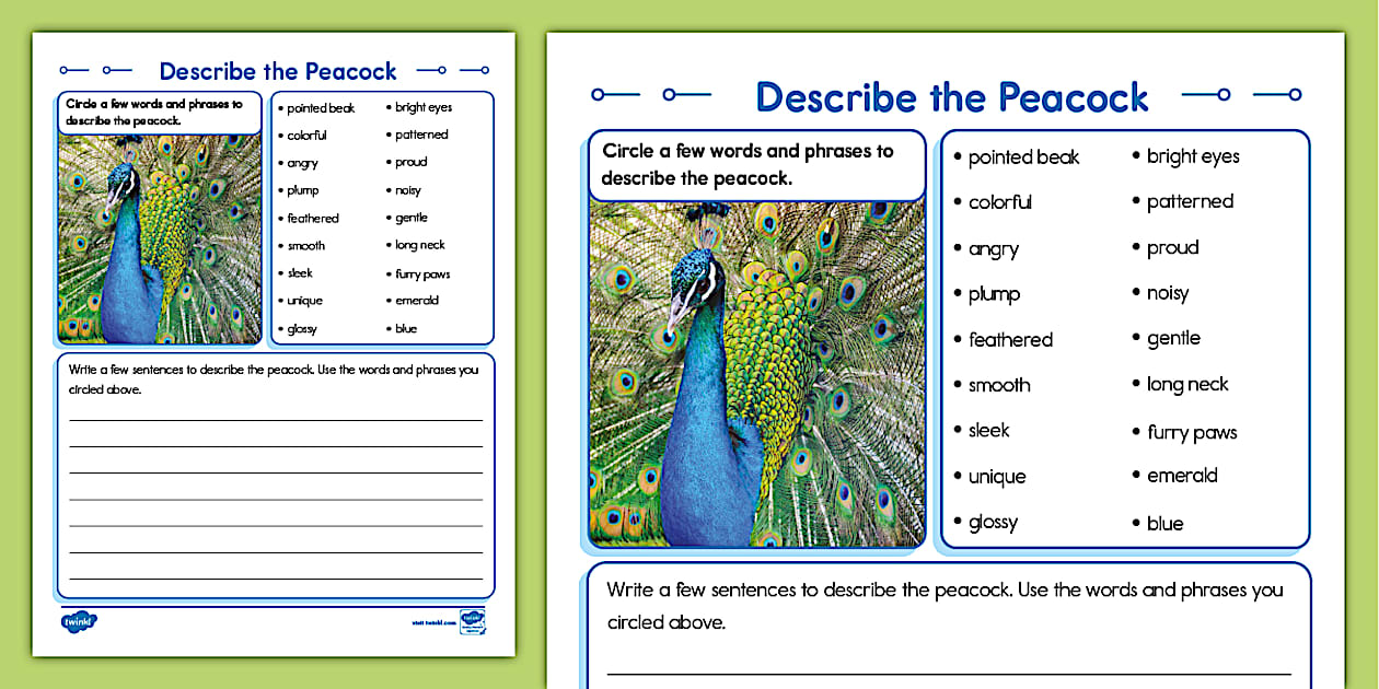 Describe the Peacock Worksheet (teacher made) - Twinkl